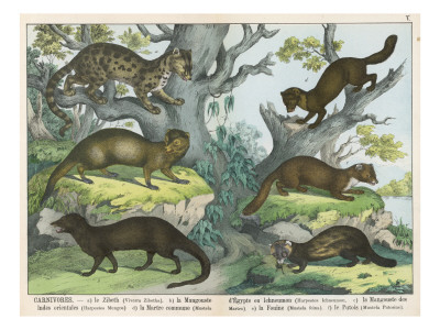 Redwall by Brian Jacques